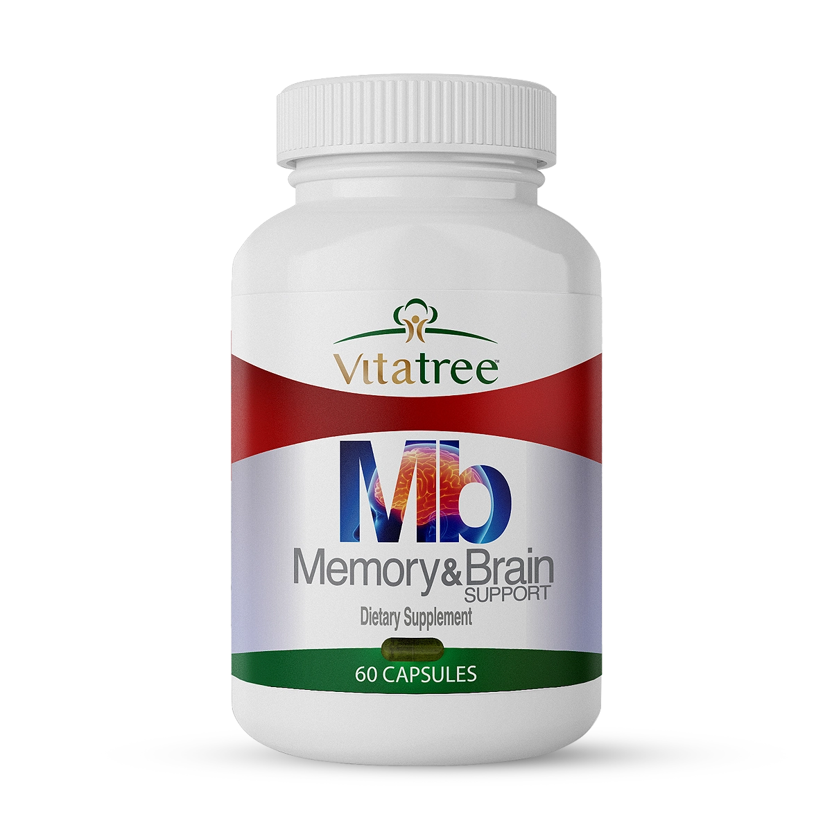 Memory and Brain Support